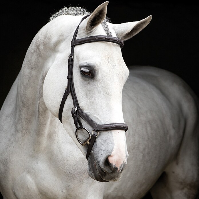 Rideudstyr online og i butik - Hööks.dk - Hööks